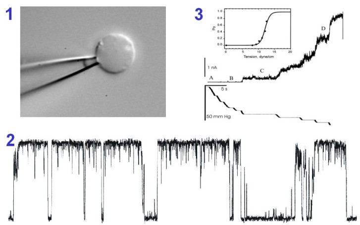 Research snapshots