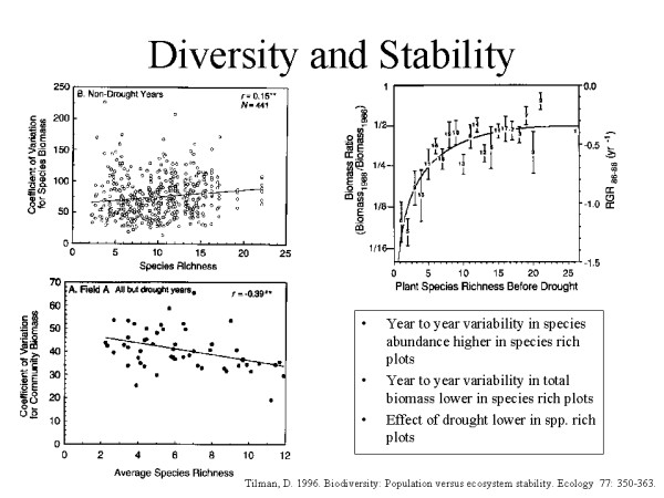 Diversity and Stability