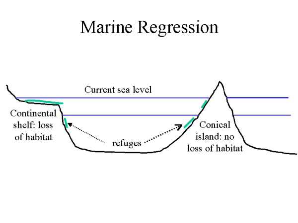 Marine Regression
