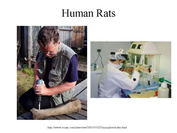 Human Rats