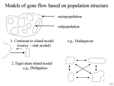 Models of gene flow based on population structure