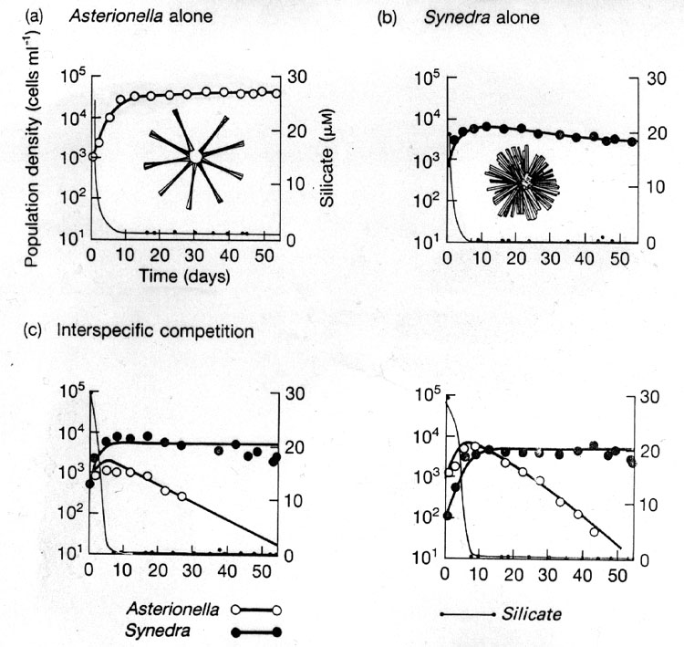 Interspecific Meaning Variation Causes And Types (OCR A Level