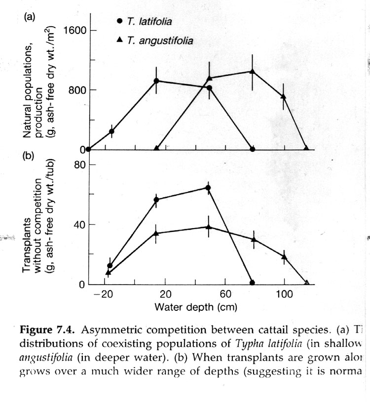 Interspecific Competition Graph
