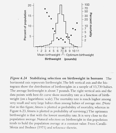 Stabilizing Selection Birth Weight
